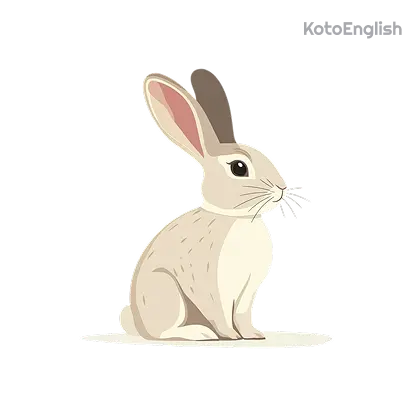 What is a Rabbit? Useful Phrases, Common Idioms and Quick Test